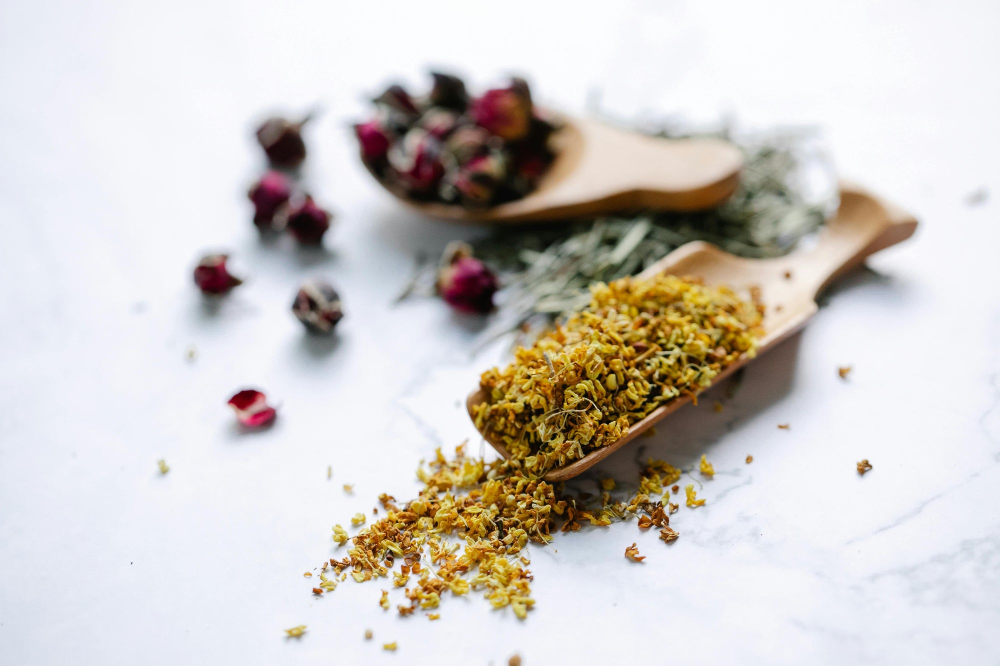 Why a Multi-Herb Blend May Be Better for Lung & Immunity: The Science ...